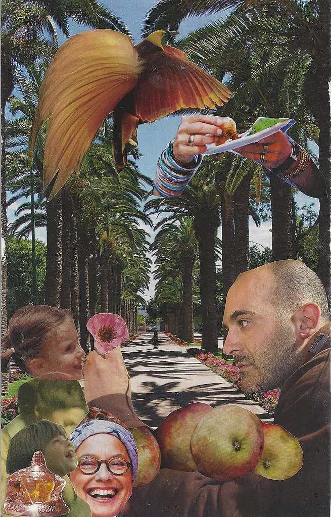 Meet Kas from PA- SoulCollage® Cards are Dear Friends - Soul Treasures ...